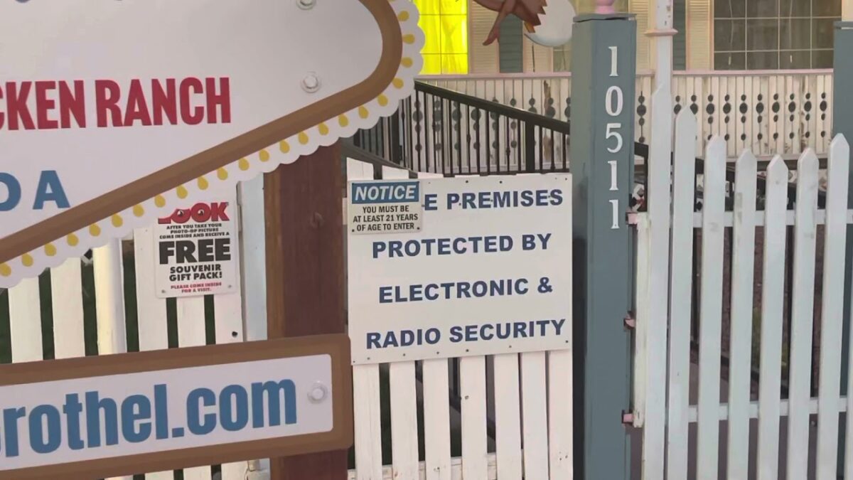 AMNIBUS | なむ語る